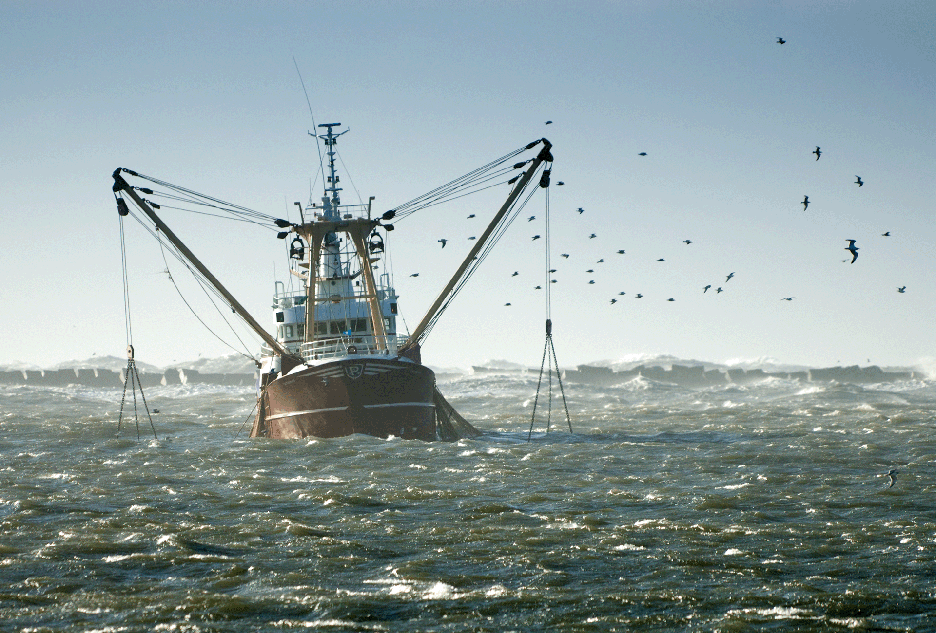 STREAM+ | MetOcean Telematics