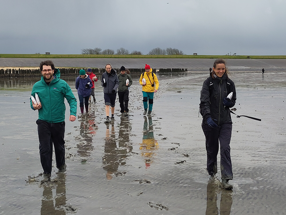 Tracking Plastic Movement in the Wadden Sea with Stokes Drifters ...